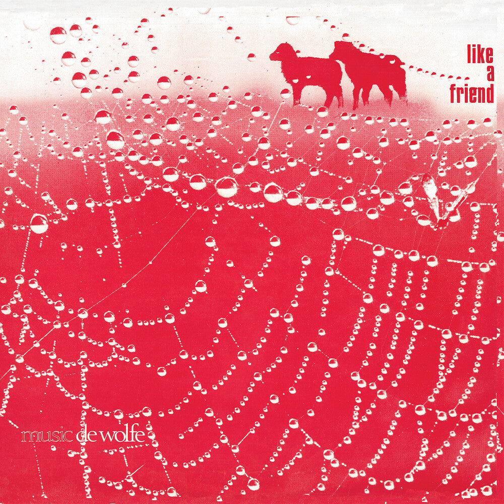 Pre-Order: Roger Webb - Like A Friend – Strictly